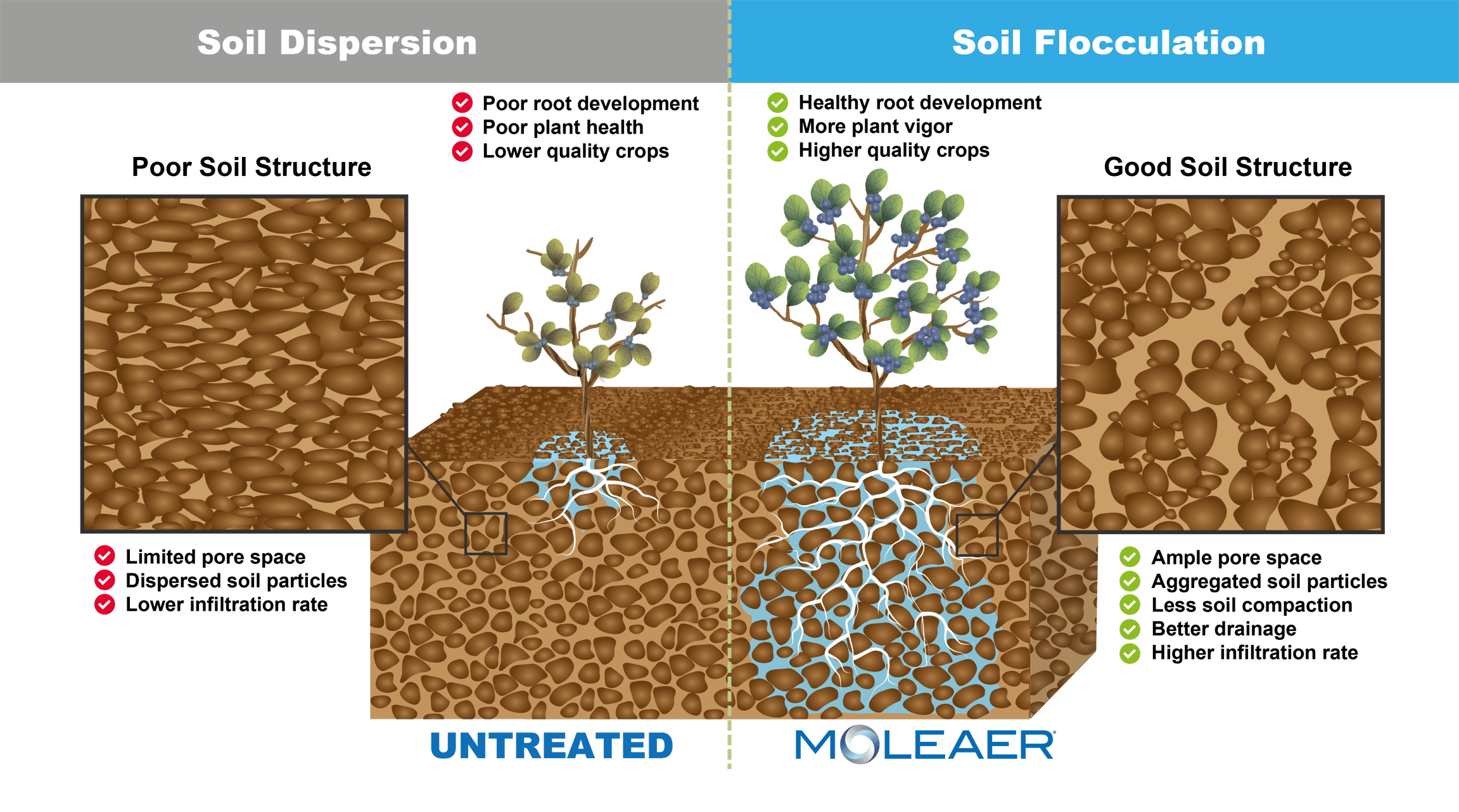 How Nanobubble Technology Helps Growers with Sustainable Agriculture
