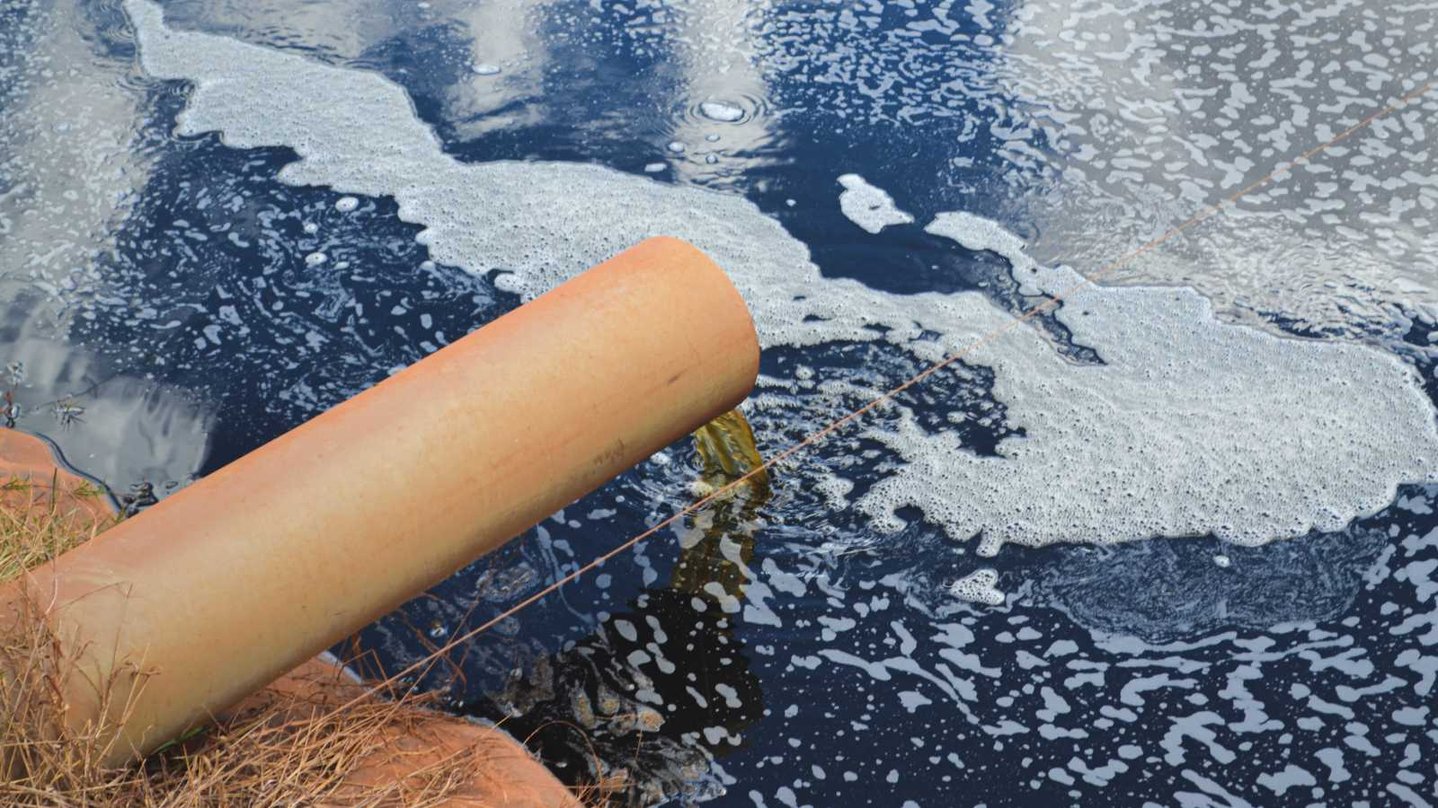 What is Muck and How to remove it Sustainably for Lakes and Ponds?