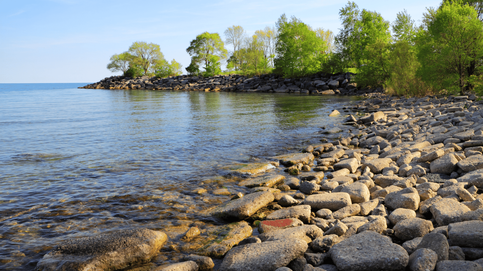 Controlling Lake Pollution: Understanding the Source