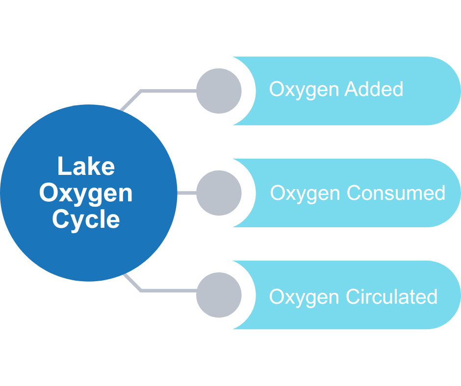 Why Lakes Need Oxygen to Survive