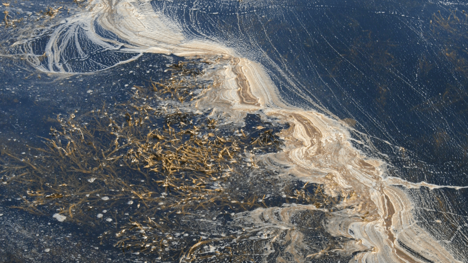 Controlling Lake Pollution: Understanding the Source