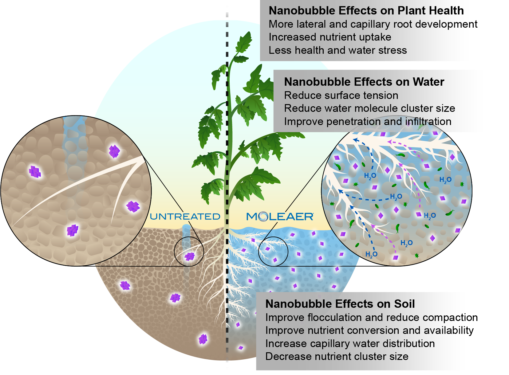 How nanobubbles improve water infiltration by reducing surface tension