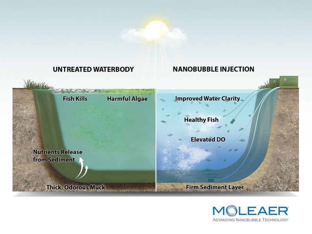 Sustainable Lake Algae Control | Moleaer Nanobubbles