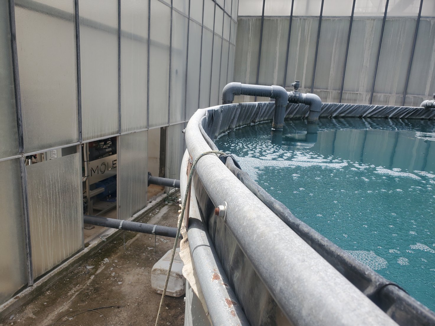 Growing Better with Nanobubbles: Greenhouse Technology in Horticulture
