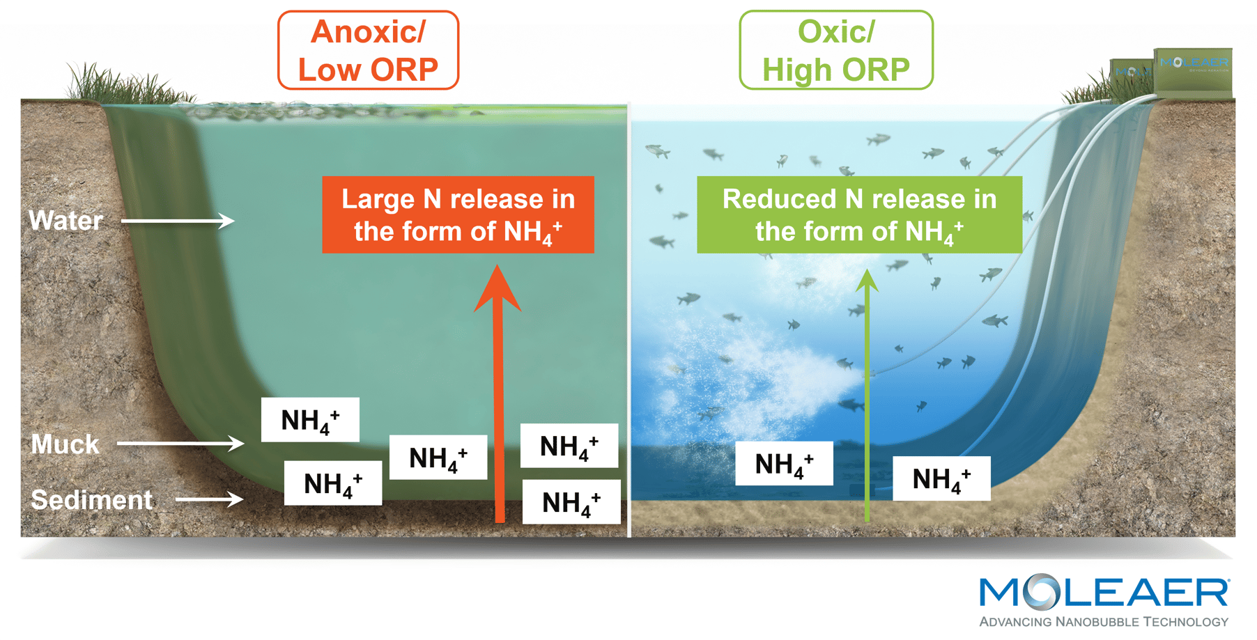 Sustainable Lake Algae Control | Moleaer Nanobubbles