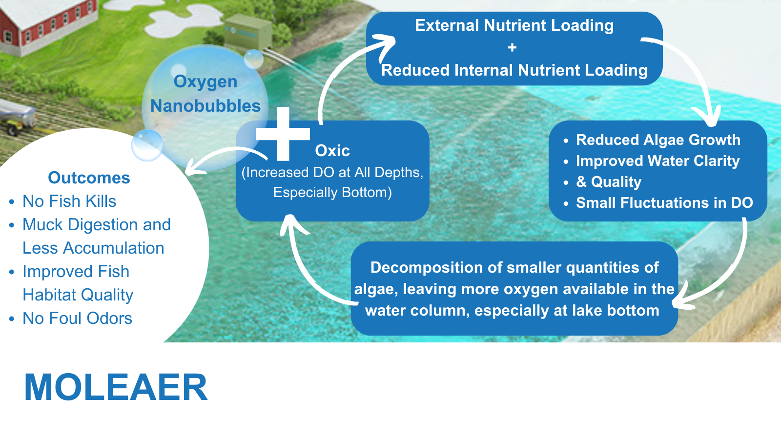 Sustainable Lake Algae Control | Moleaer Nanobubbles
