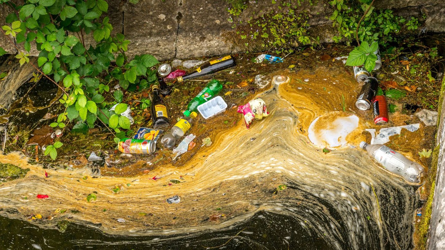 Water Pollution: Causes, Effects, and Solutions