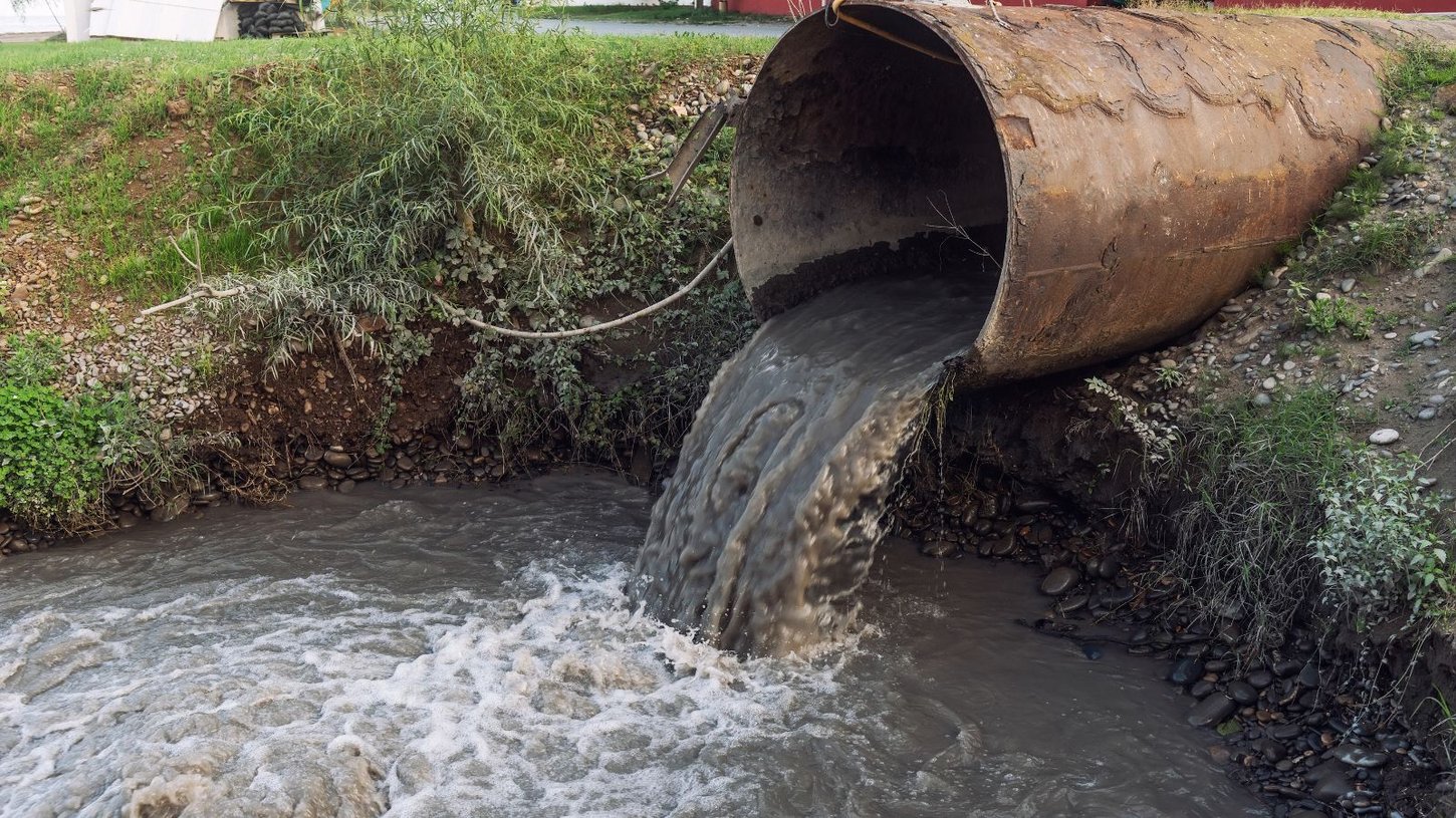 Water Pollution: Causes, Effects, and Solutions