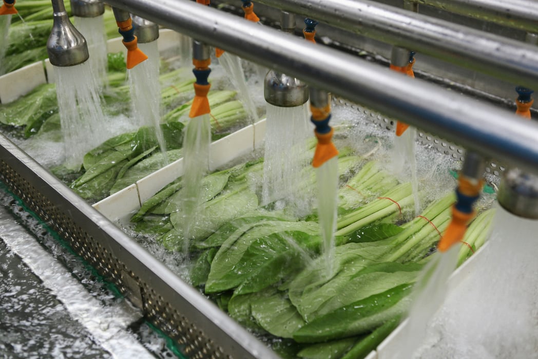 Chlorinated Chicken Debate Returns: What’s Next for Food Safety?